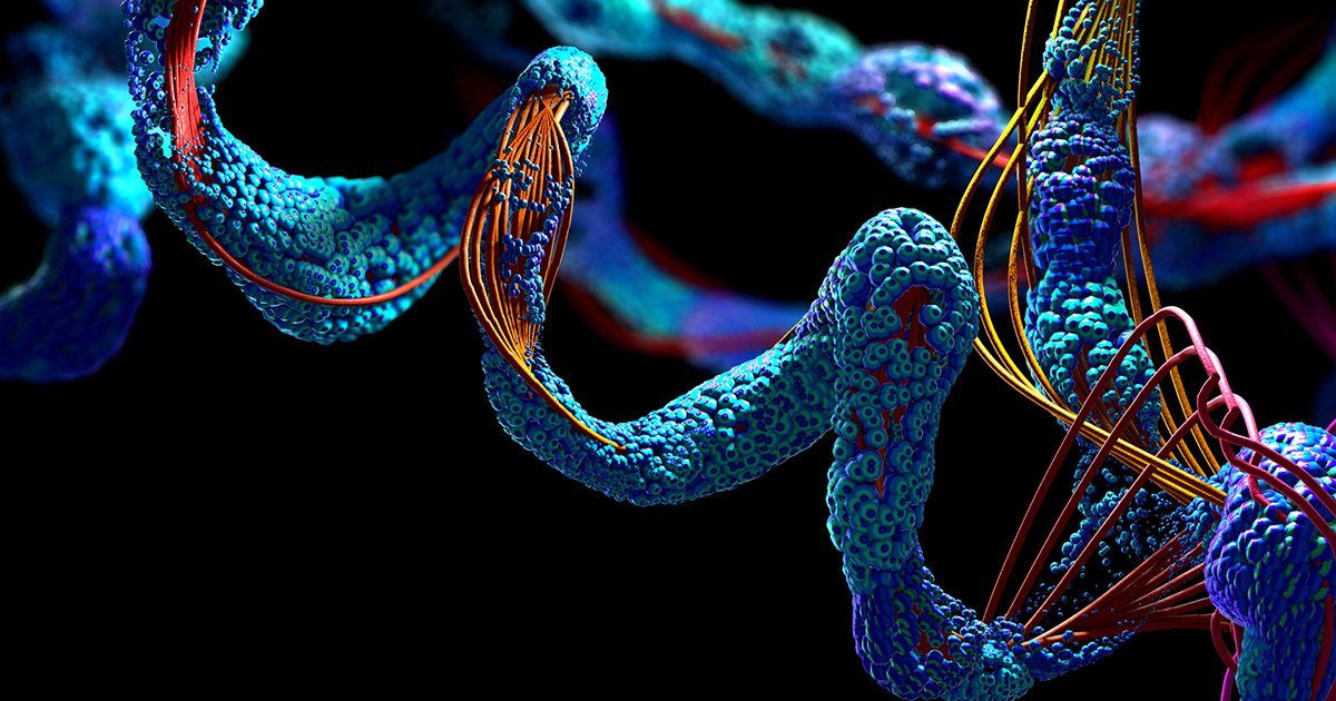 Artificial Intelligence in Medicine: Neural Network Model Can Predict ...